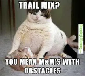 37 Hilarious Food Memes For Anyone Who Just Wants To Eat Everything