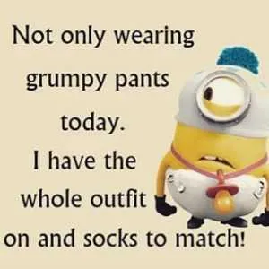 22 New Silly Minion Quotes | The Funny Beaver
