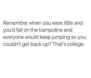 22 Super Funny Quotes | The Funny Beaver