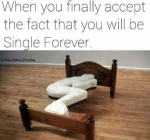 71 Hilarious Memes About Single Life So You Feel Better
