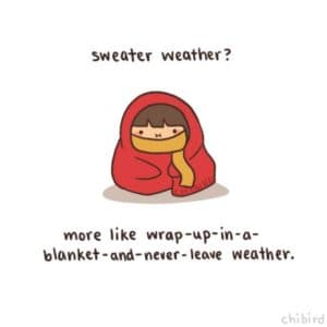 52 Winter Memes That Makes You Love Fall More