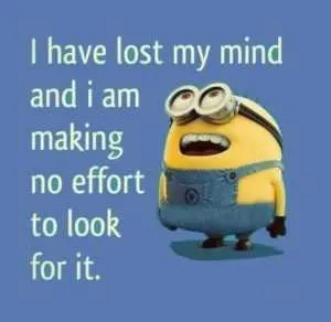 37 Hilarious Minion Memes And Pictures Clean Enough For Kids
