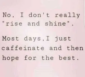 22 Hilarious New Funny Quotes About Life In General
