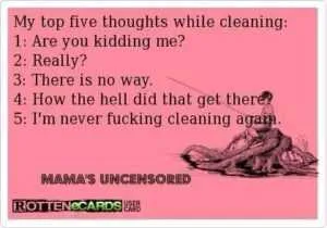 24 Funny Pictures About Spring Cleaning