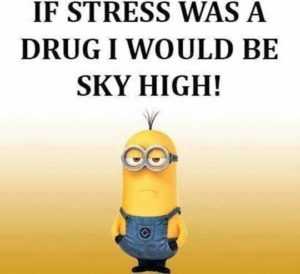 30 Hilarious Minion Quotes