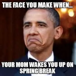 32 Funny Spring Break Memes | The Funny Beaver