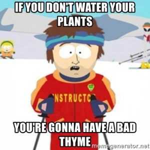 30 Home Gardening Memes For A Good Thyme | The Funny Beaver