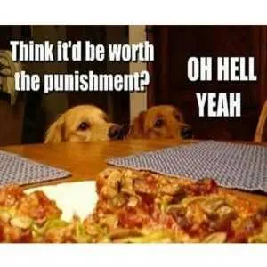 25 Pizza Memes For The Pizza-Loving Weirdough | The Funny Beaver