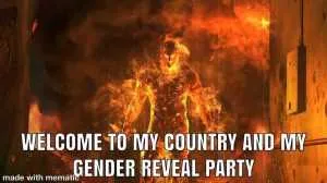 30 Funny Wildfire Memes That Will Burn A Hole In Your Retina