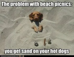24 Funny Beach Memes Because It's That Time