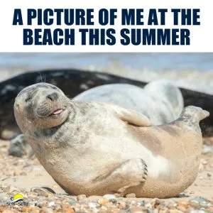24 Funny Beach Memes Because It's That Time