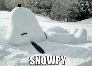 20 Winter Fun Memes To Laugh At