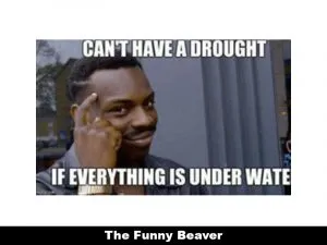 23 Funny Drought Memes That'll Water Your Crops