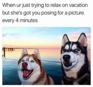 30 Great Summer Memes To Get Your Summer Going