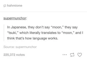 30 Random Memes That Are Too Funny To Categorise