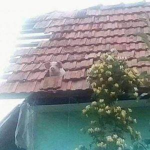 30 Bewildering Images That Have A Strange Energy To Them