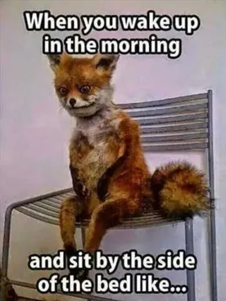 36 VERY Funny Pictures You Will Enjoy.