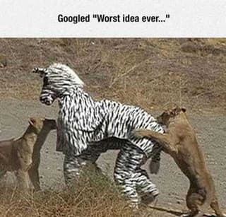 36 Of The Funniest Pics Ever