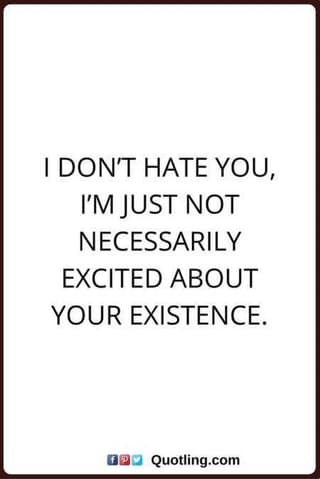 38 Pretty Hilarious Quotes