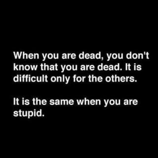 38 Pretty Hilarious Quotes | The Funny Beaver #hilariousquotes