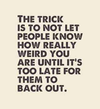 38 Pretty Hilarious Quotes | The Funny Beaver #hilariousquotes
