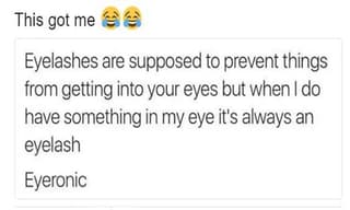 22 Hilarious And Silly Quotes