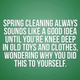 24 Funny Pictures About Spring Cleaning