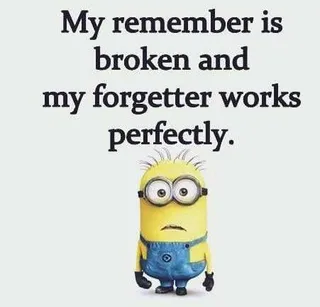 30 Wonderful And Funny Minion Quotes