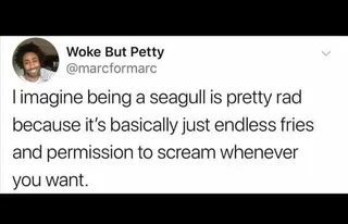 32 Hilarious Funny Quotes You Can Probably Relate To