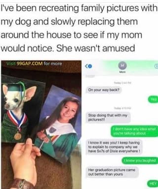 Funny Pictures, Hilarious Pictures And Lol Pictures That Are Just?