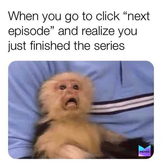 32 Funny Animals That Are Always Good For A Laugh | The Funny Beaver