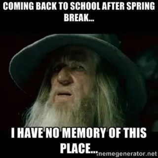 32 Funny Spring Break Memes | The Funny Beaver