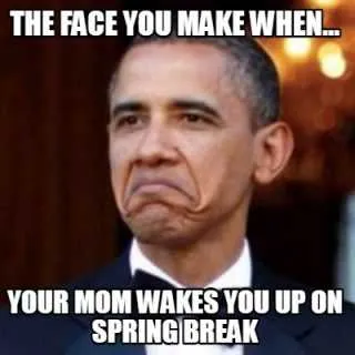 32 Funny Spring Break Memes | The Funny Beaver