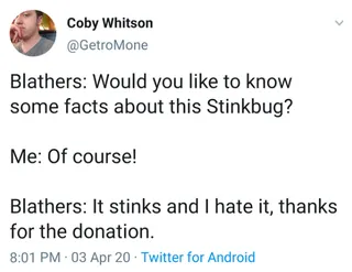 25 Funny Animal Crossing Memes That Blathers Probably Doesn't Want