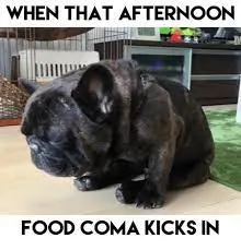 22 Hilarious Food Memes Everyone Can Relate To