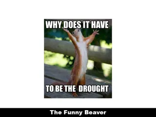 23 Funny Drought Memes That'll Water Your Crops