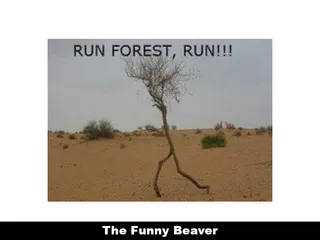 23 Funny Drought Memes That'll Water Your Crops