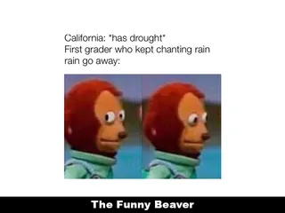 23 Funny Drought Memes That'll Water Your Crops