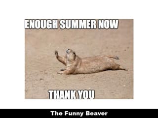 23 Funny Drought Memes That'll Water Your Crops