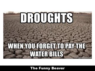 23 Funny Drought Memes That'll Water Your Crops