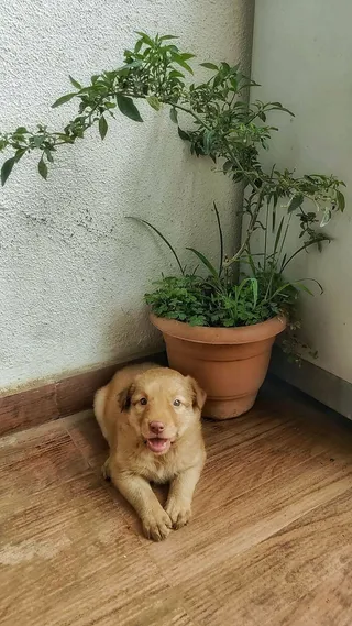 3 Uplifting Photos That Prove We Don’t Deserve Animals