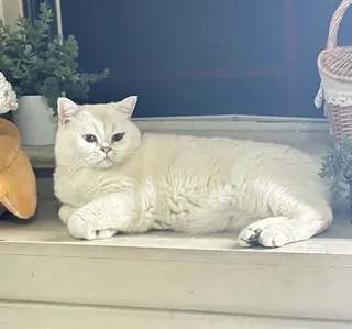 3 Uplifting Photos That Prove We Don’t Deserve Animals