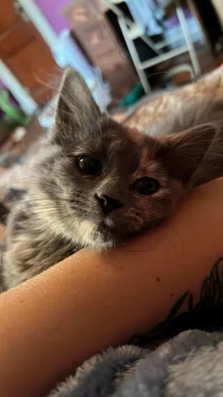 3 Uplifting Photos That Prove We Don’t Deserve Animals