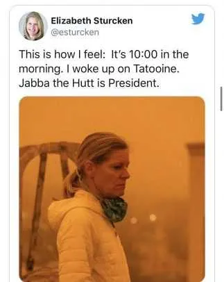 30 Funny Wildfire Memes That Will Burn A Hole In Your Retina