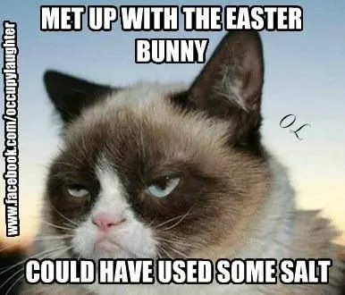 20 Funny Cat Easter Memes Too Cute To Not Share