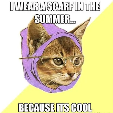 20 Cute Summer Cat Pictures To Share With Friends