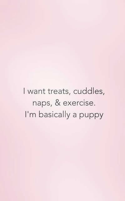 22 Funny Quotes That Will Make You Laugh | The Funny Beaver