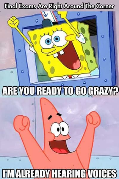 54 Hilarious Memes For Finals Week | The Funny Beaver