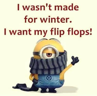 I wasn’t made for winter.