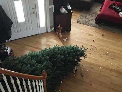 35 Christmas Fails And A Few Wins That Will Definitely Make Your Holiday
